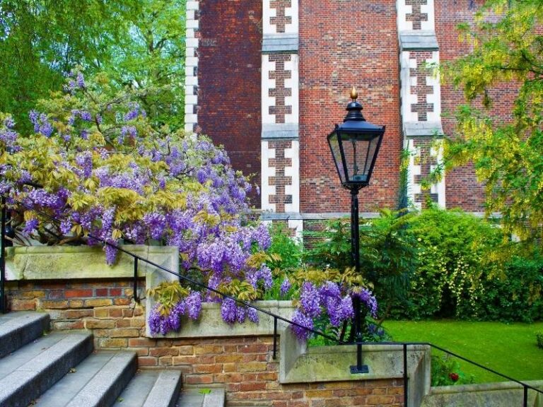 Visiting London in Spring (29 best things to see and do)