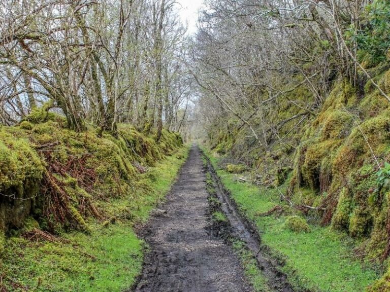 15 Things to do in Fort William: See, do, eat, stay & tips