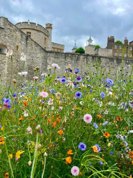 Visiting the UK in Summer [Everything you need to know]