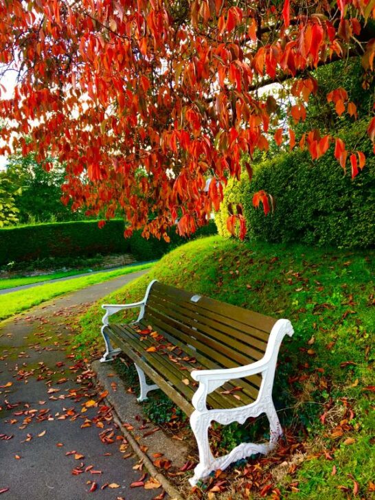 Visiting the UK in Autumn [Complete Guide]